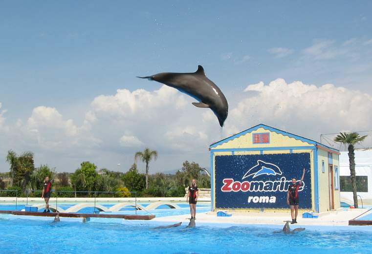 Zoomarine: L'Isola dei Delfini